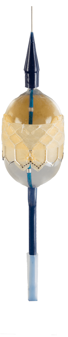 Technology - TAVI System - Colibri Heart Valve