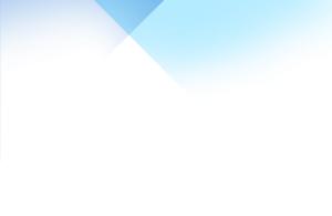 TAVI System - Colibri Heart Valve