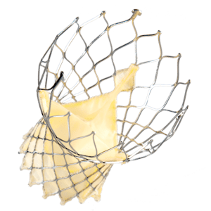 Pipeline - Colibri Heart Valve