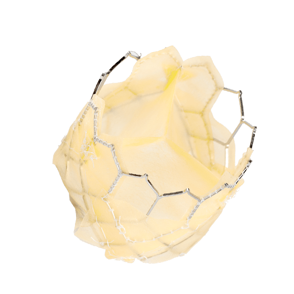 Technology - Colibri Heart Valve